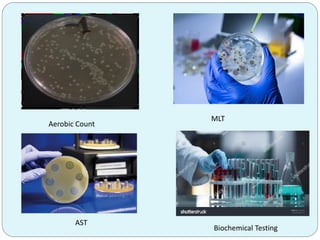 Application of microbiology in pharmaceuticals | PDF