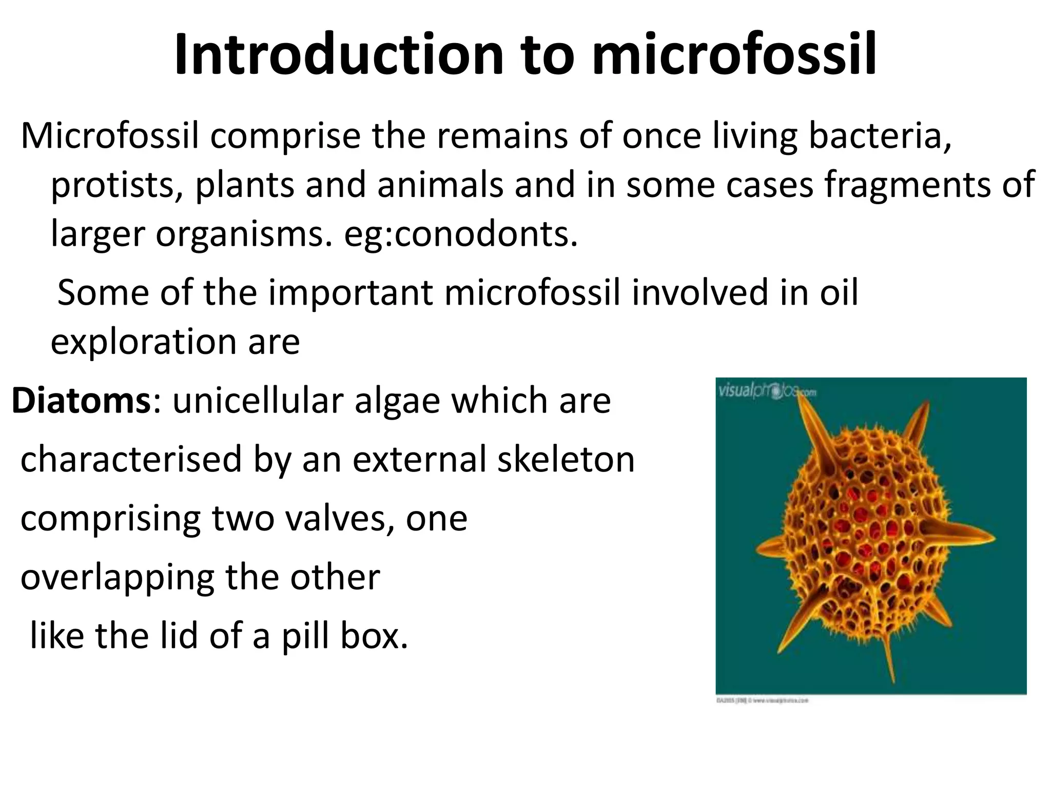 Application of microfossil in fossil fuel exploration | PPTX