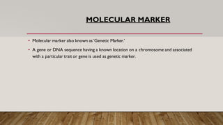 Application of molecular marker in forensic,disease diagnosis,genetic ...