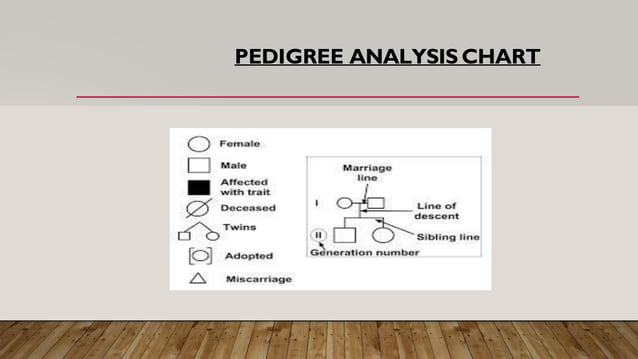 Application of molecular marker in forensic,disease diagnosis,genetic counselling, pedigree | PPT