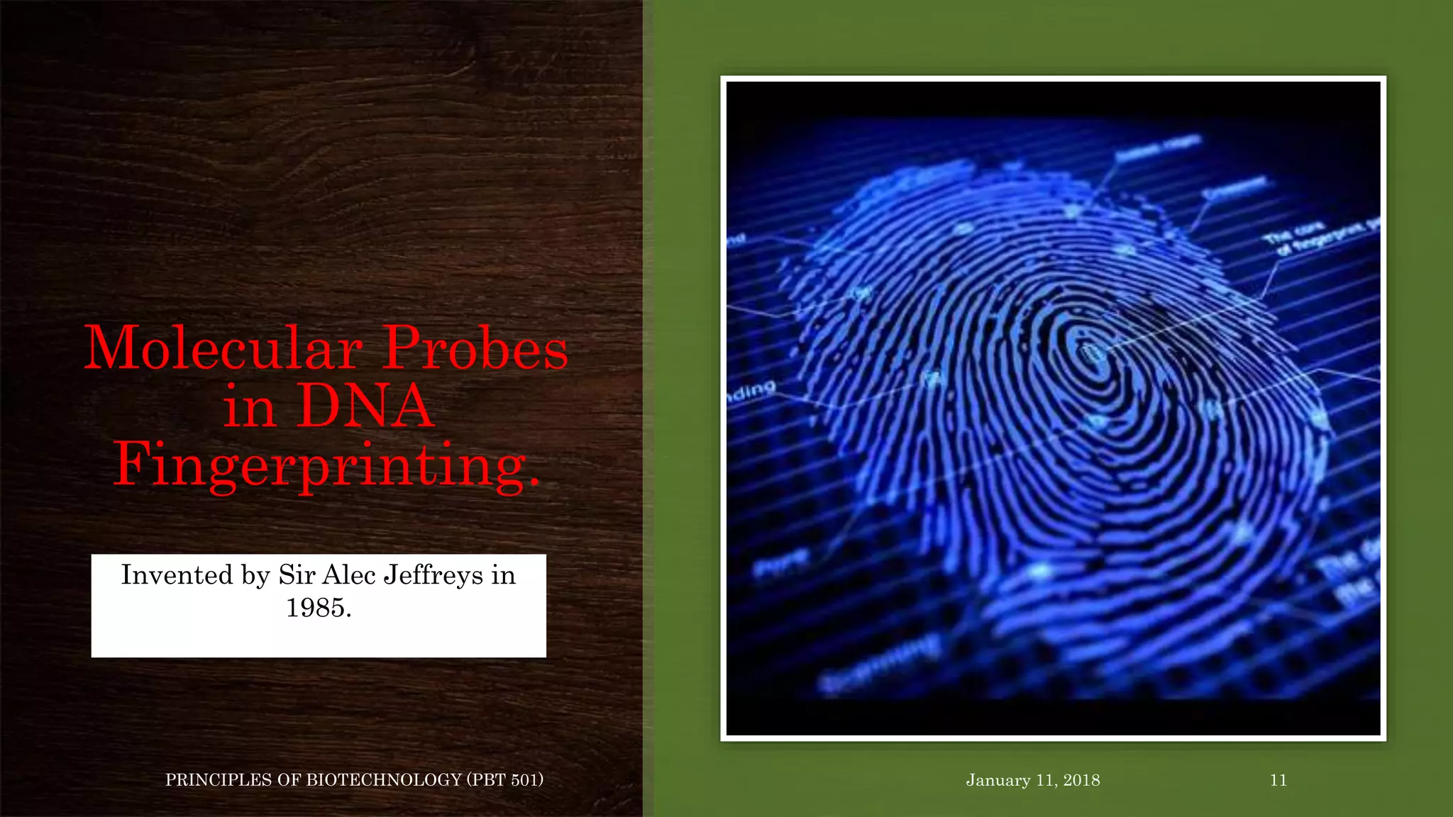 Application of molecular probes | PPTX