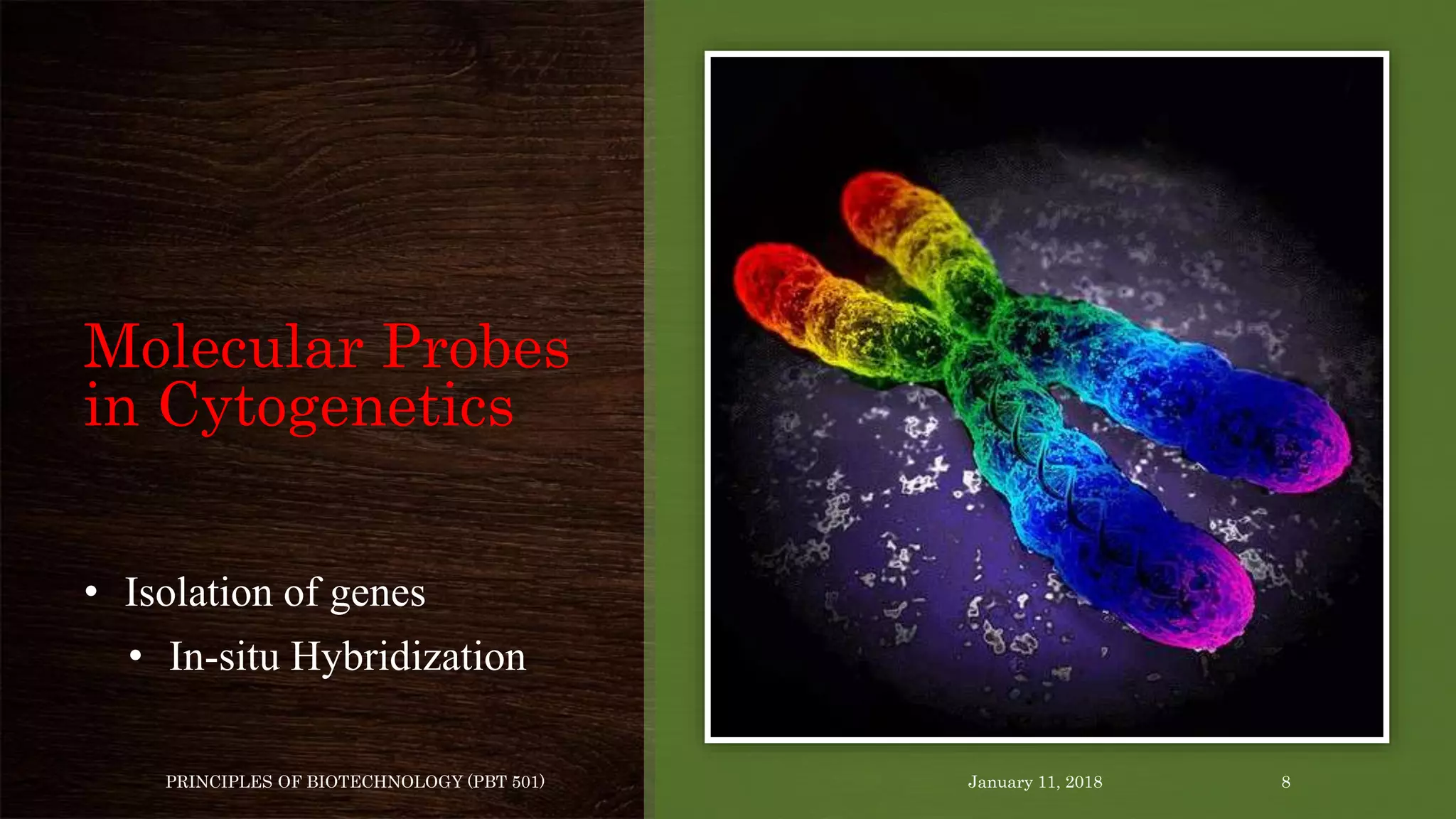 Application of molecular probes | PPTX