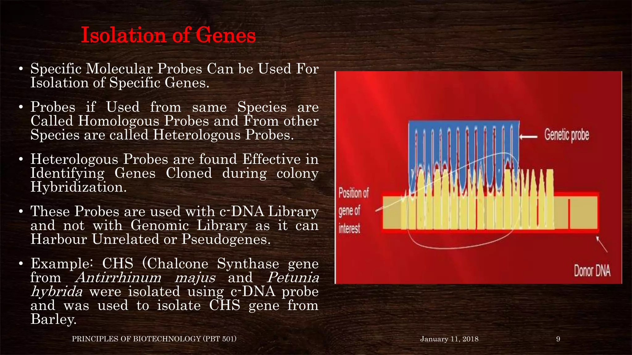 Application of molecular probes | PPTX