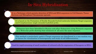 Application of molecular probes | PPT
