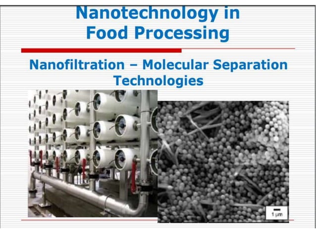 Application of nanotechnology in food processing | PPTX | Physics | Science