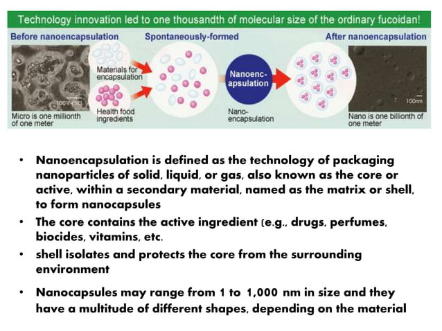 Application of nanotechnology in food processing | PPTX | Physics | Science