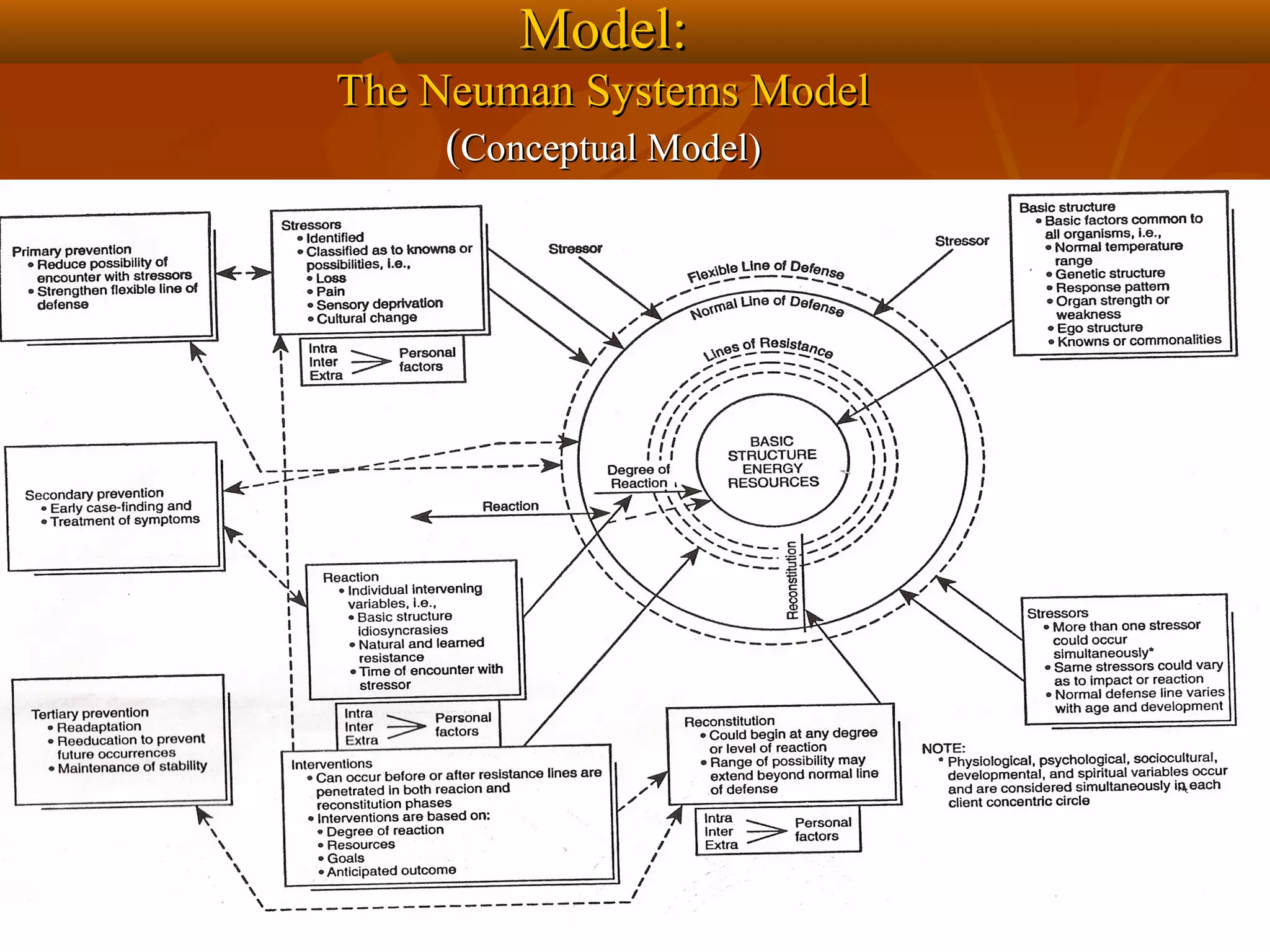 Application of nursing theories | PPT