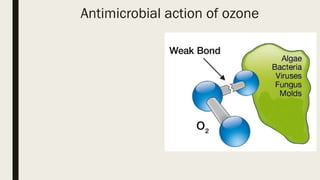application of ozone for microbial safety .pptx