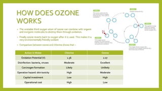 Application of ozone in food processing.pptx