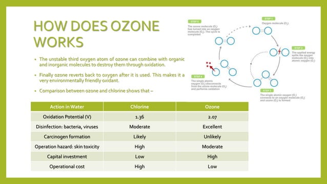 Application of ozone in food processing.pptx