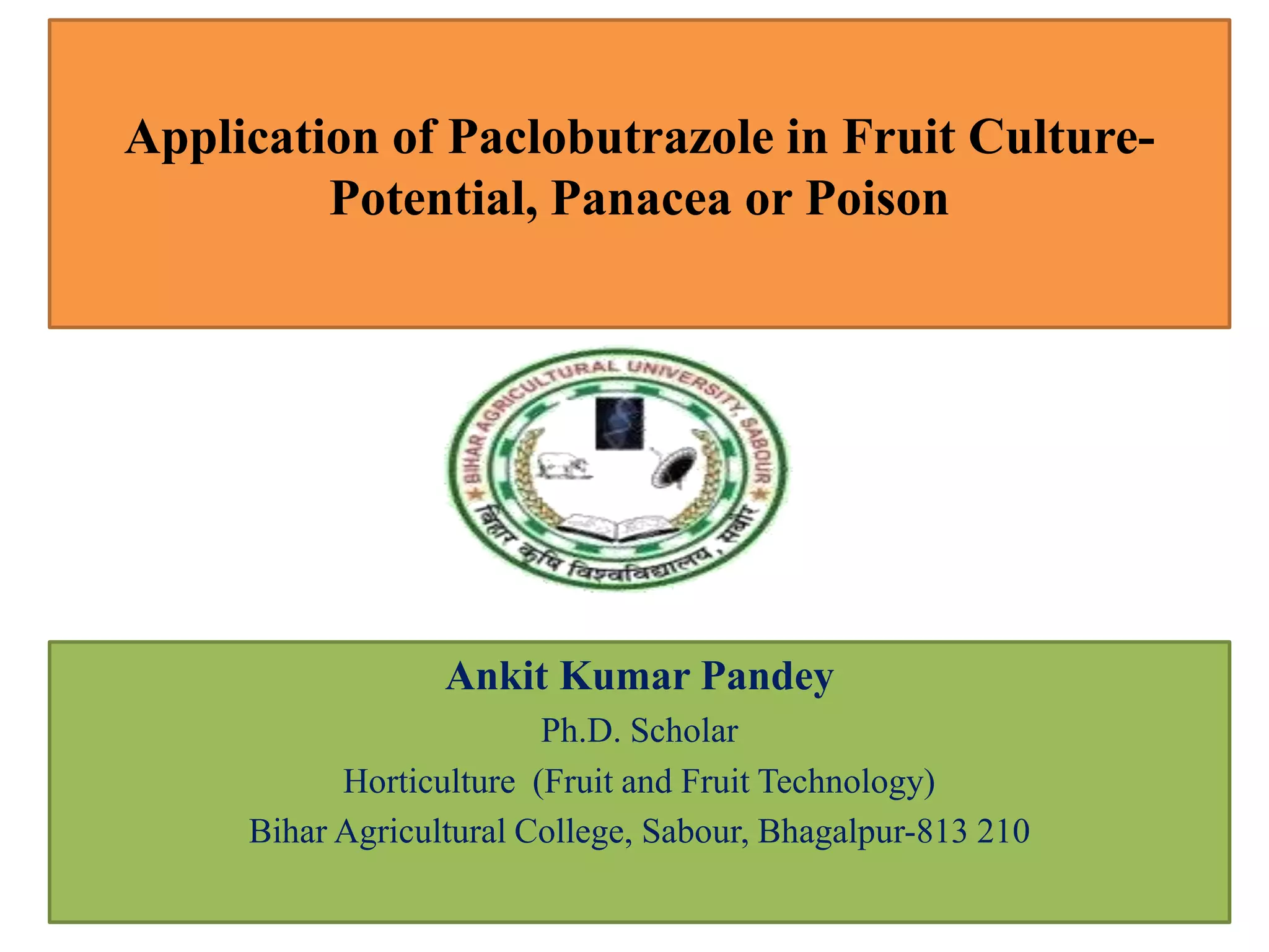 Application of paclobutrazol in fruit culture potential, panacea or poison | PPTX