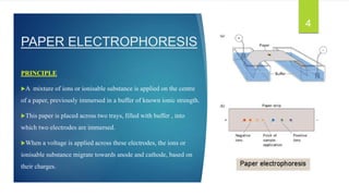 Application of paper electrophoresis | PPTX