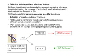 Application of pcr | PPTX