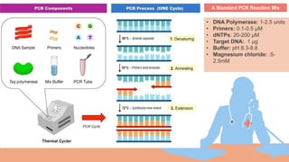 Application of PCR on Infectious Diseases | PPTX