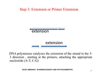 APPLICATION OF PCR(SEMINAR).ppt