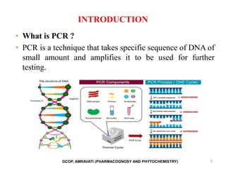 APPLICATION OF PCR(SEMINAR).ppt