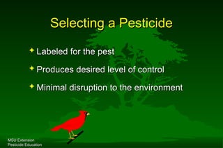 application of pesticides in daily life.ppt