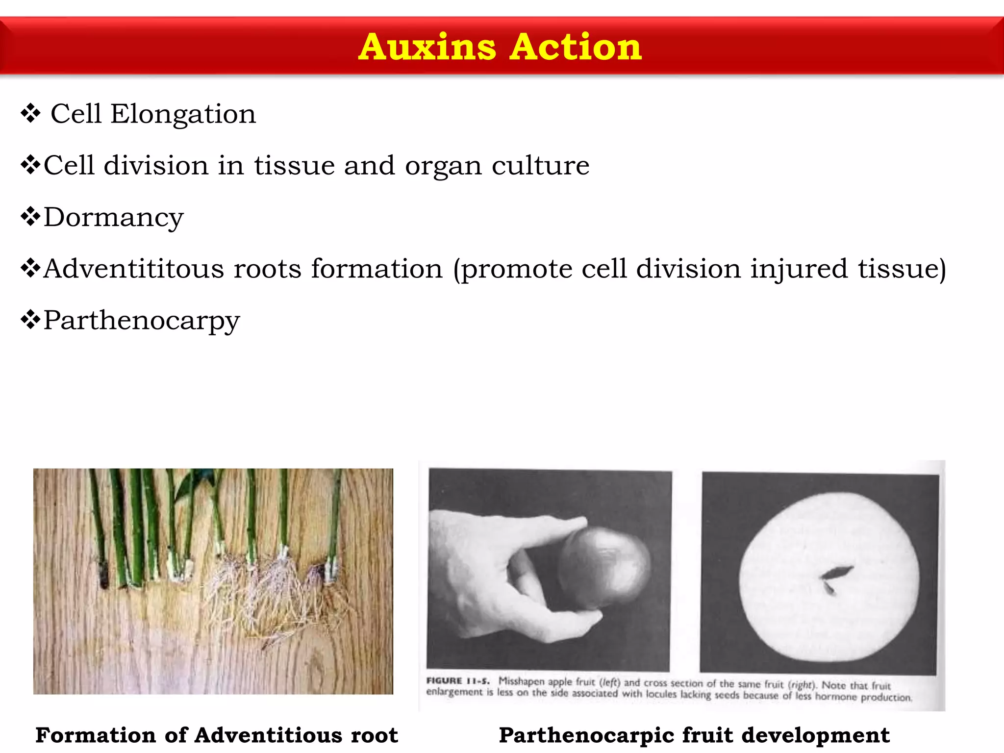 Application of plant growth regulators in agriculture | PPTX