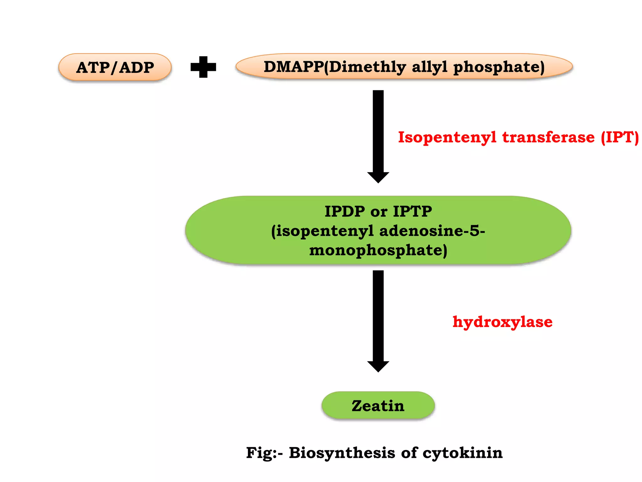 Application of plant growth regulators in agriculture | PPTX