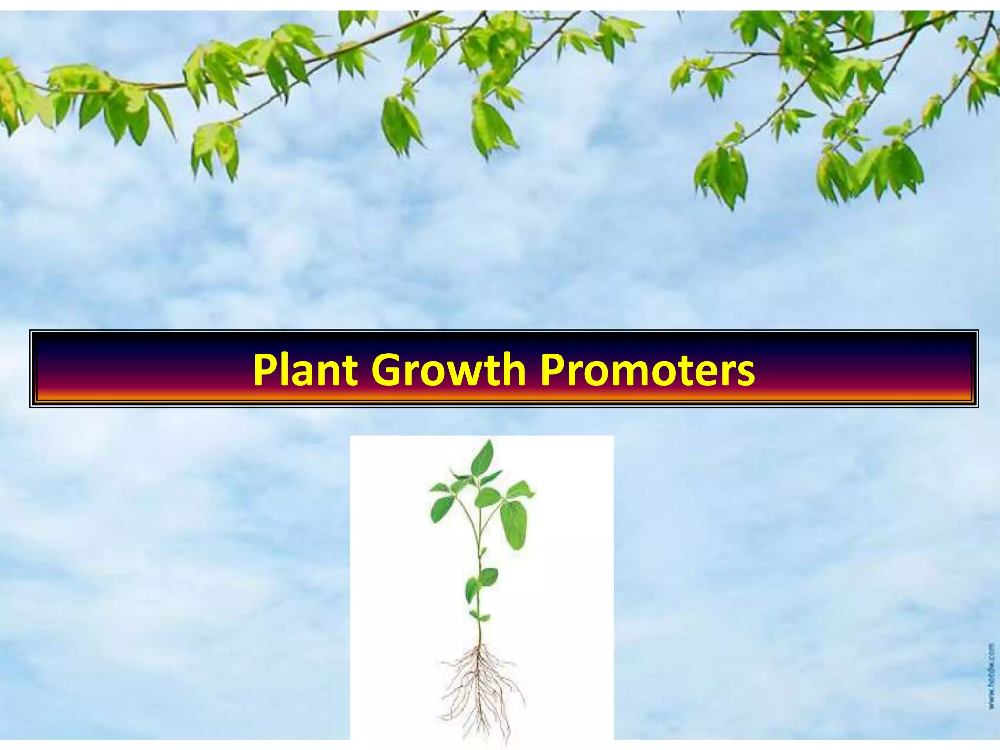 Application of plant growth regulators in agriculture | PPTX
