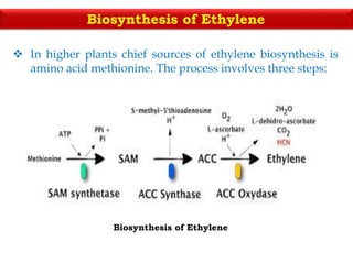 Application of plant growth regulators in agriculture | PPTX