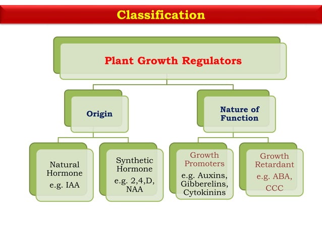 Application of plant growth regulators in agriculture | PPT