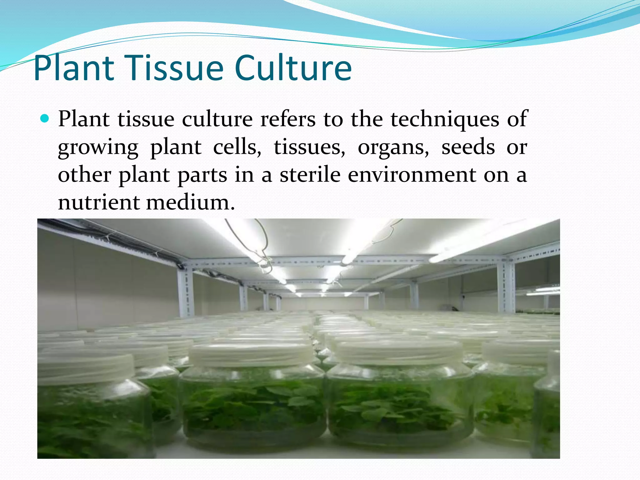 Application of plant tissue culture/ micro-propagation | PPTX