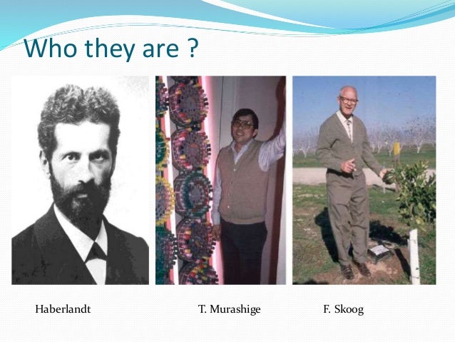 Application of plant tissue culture/ micro-propagation