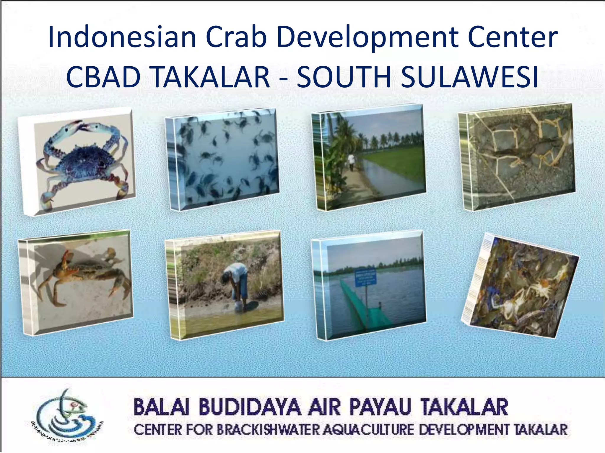 Application Of Probiotic And Molases | PPT