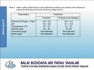 Application Of Probiotic And Molases | PPT