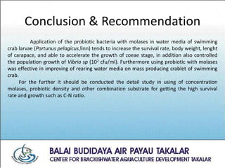 Application Of Probiotic And Molases | PPT