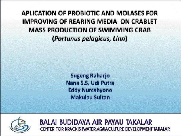 Application Of Probiotic And Molases | PPT