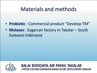 Application Of Probiotic And Molases | PPT