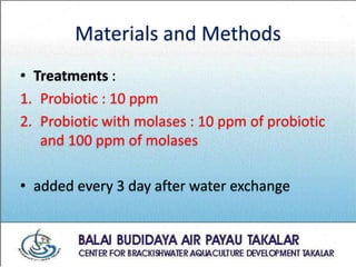 Application Of Probiotic And Molases | PPT