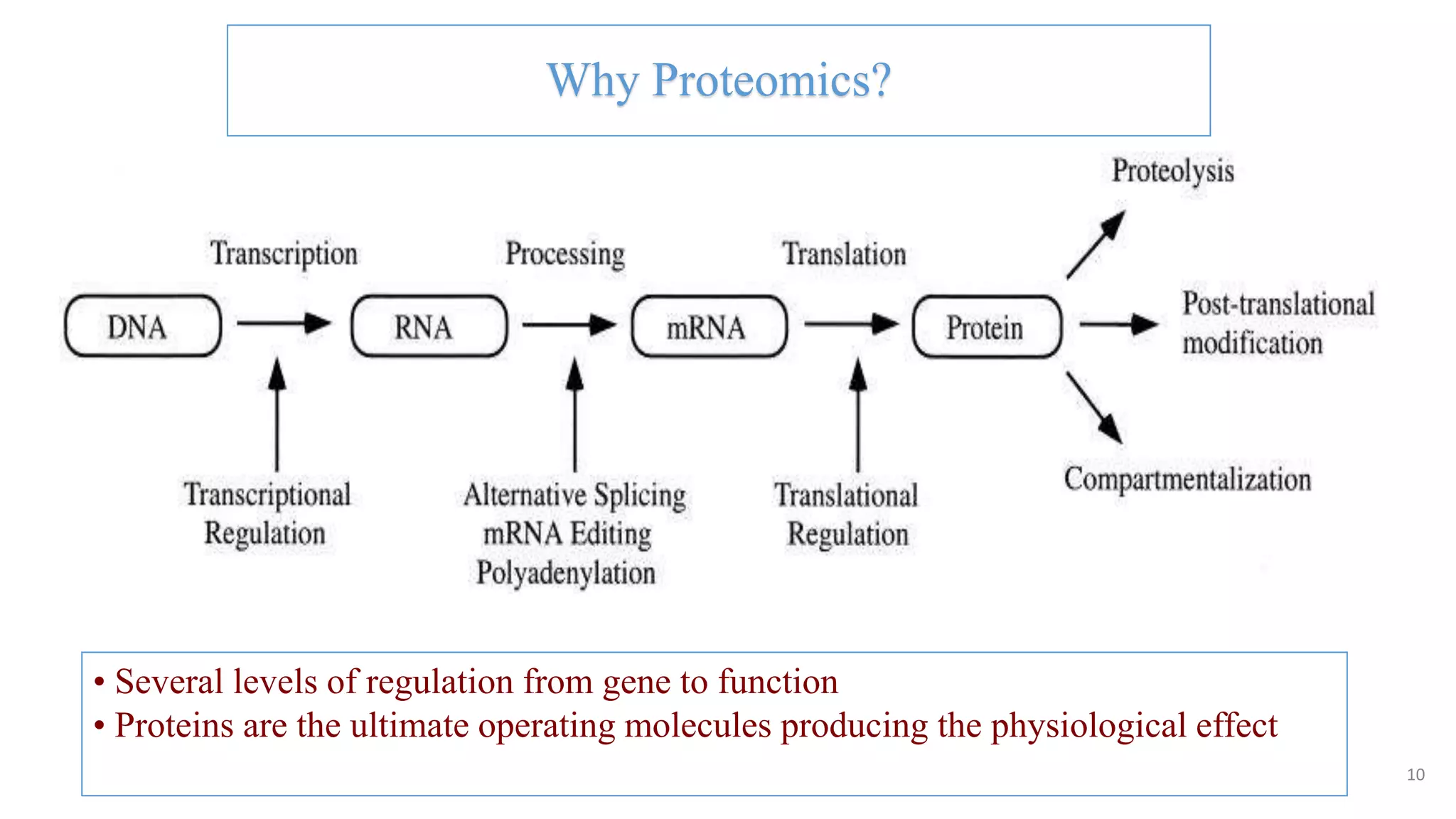 Application of proteomics for identification of abiotic stress tolerance in cereal crops | PPTX