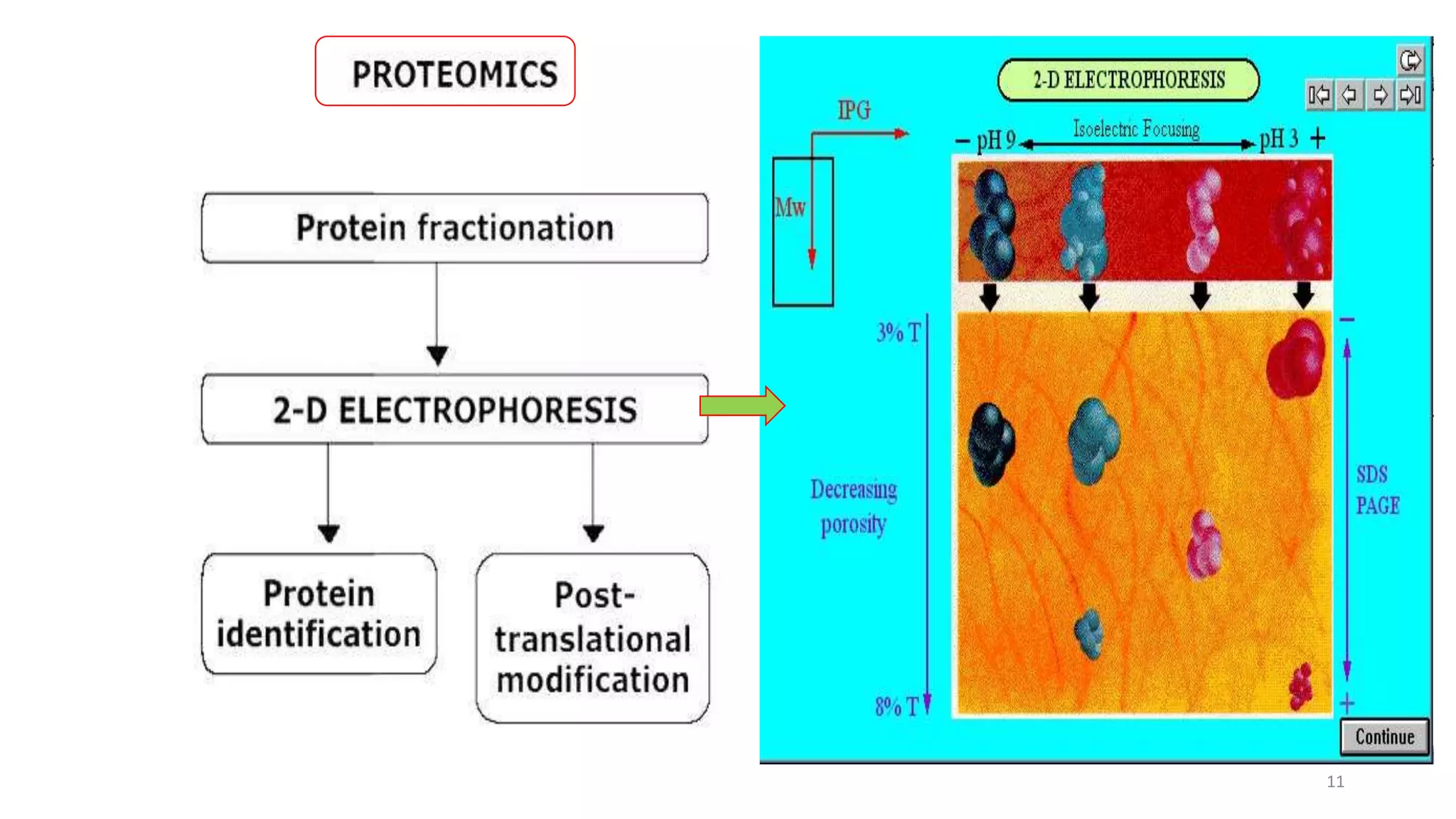 Application of proteomics for identification of abiotic stress tolerance in cereal crops | PPTX