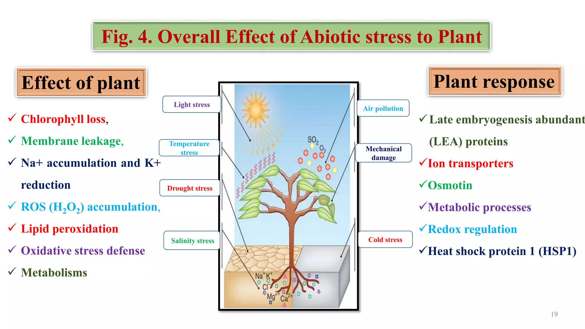 Application of proteomics for identification of abiotic stress ...