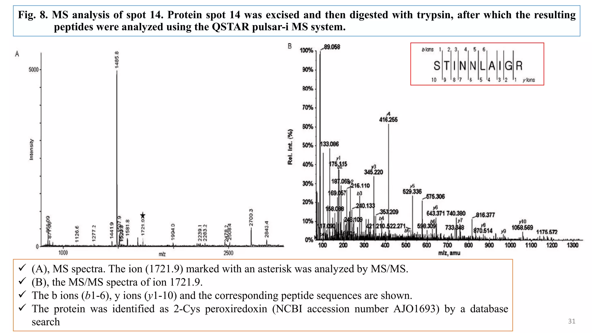 Application of proteomics for identification of abiotic stress tolerance in cereal crops | PPTX