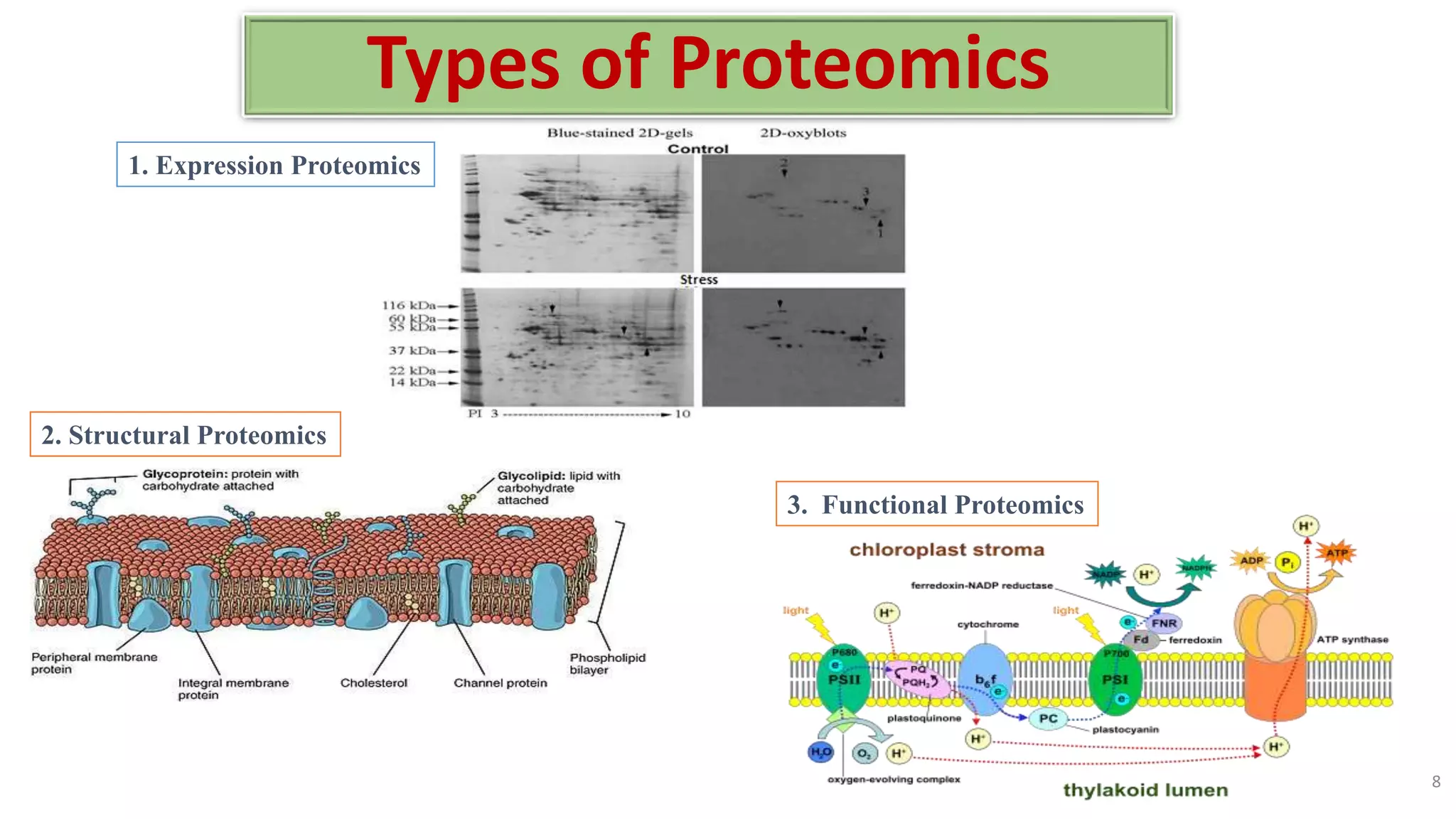Application of proteomics for identification of abiotic stress tolerance in cereal crops | PPTX