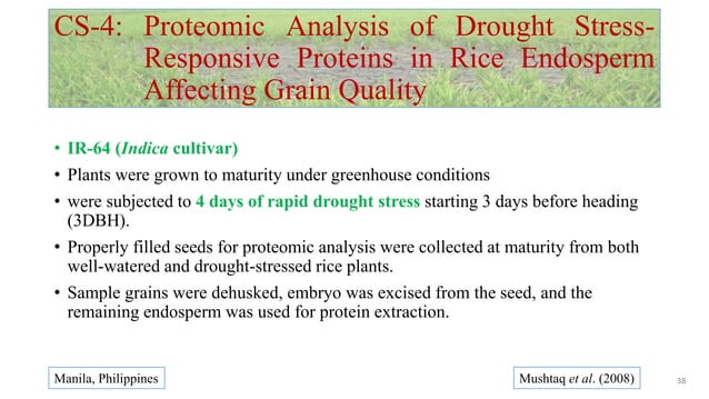 Application of proteomics for identification of abiotic stress tolerance in cereal crops | PPTX ...