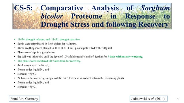 Application of proteomics for identification of abiotic stress tolerance in cereal crops | PPTX ...