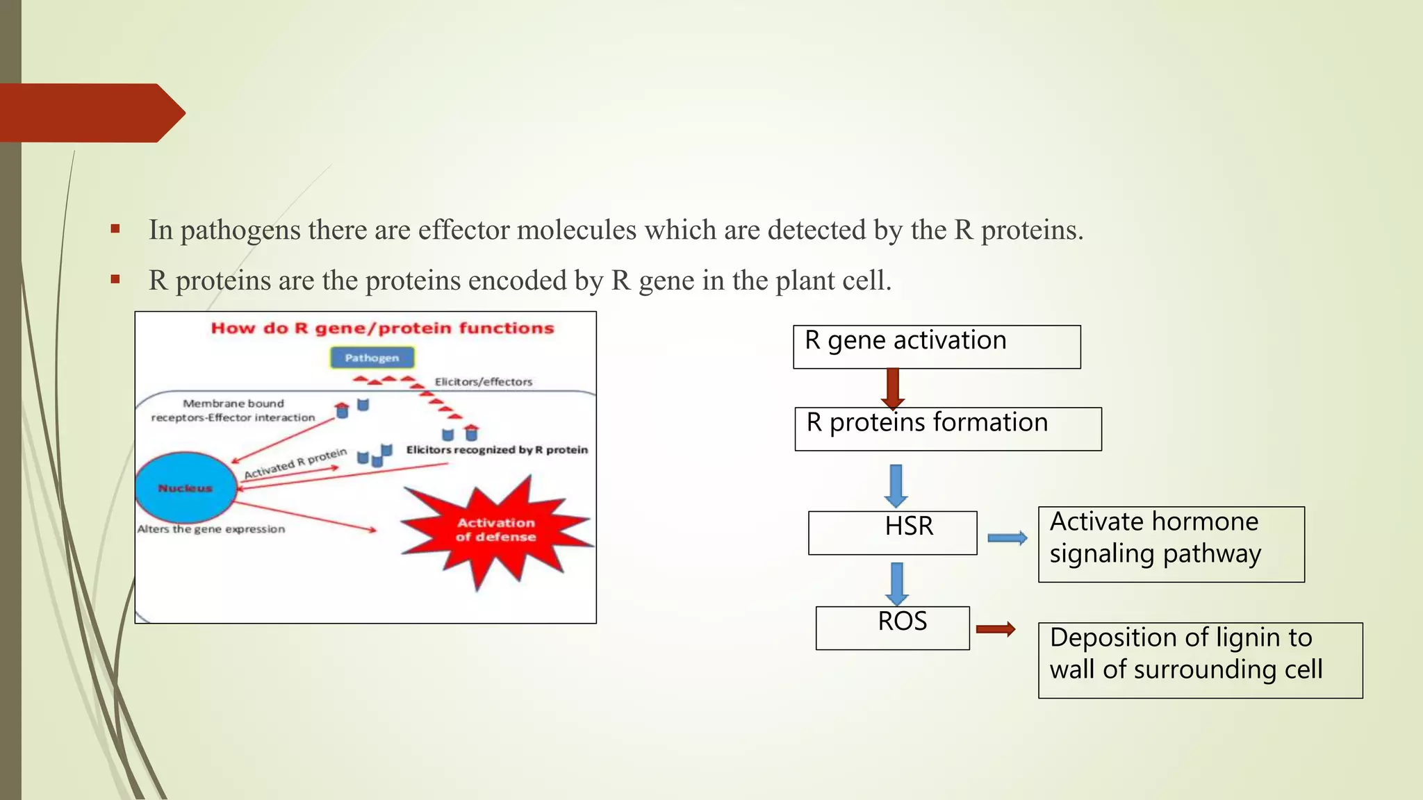 Applications of Proteomics in plant biotic stress | PPT