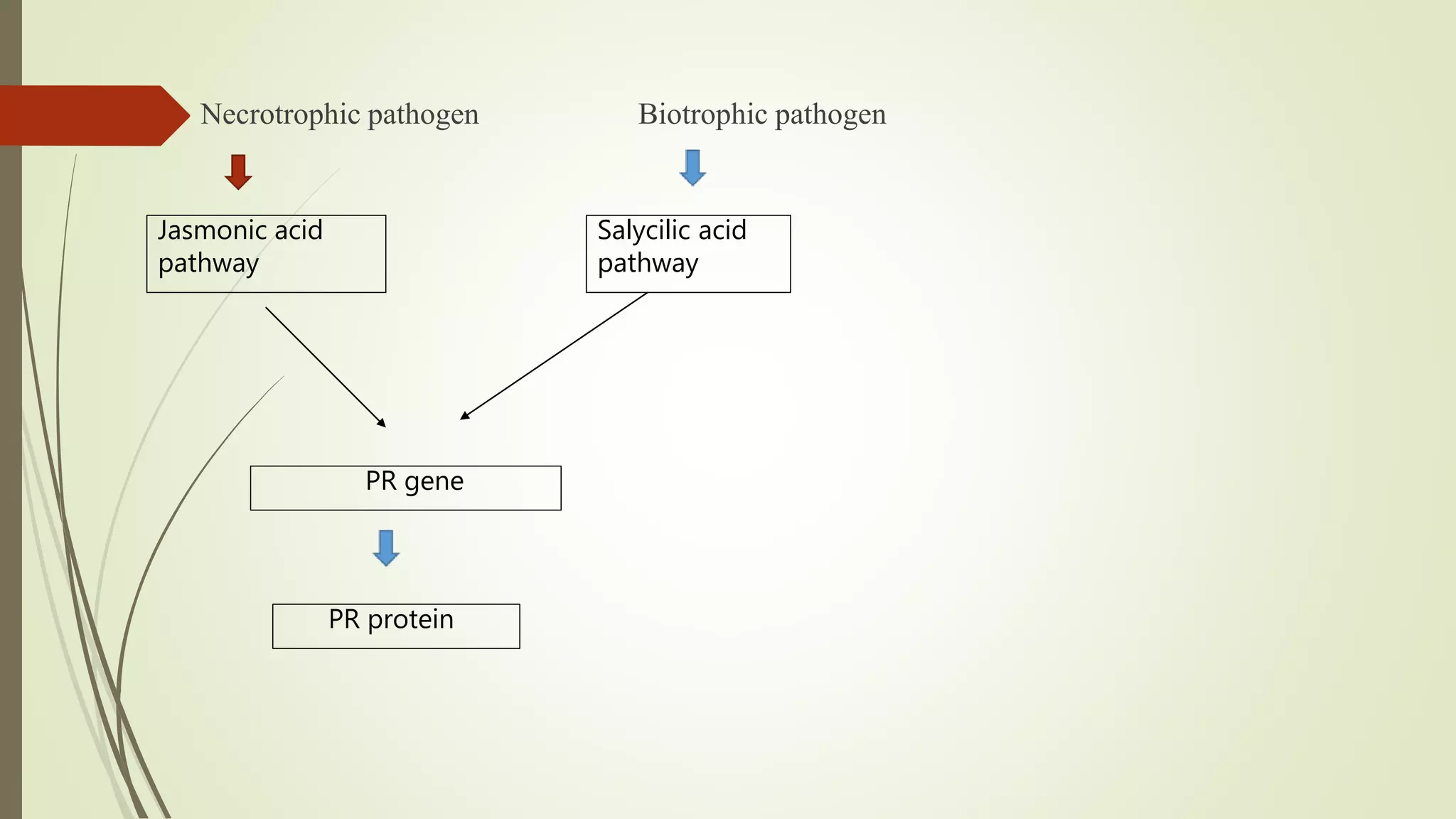 Applications of Proteomics in plant biotic stress | PPT