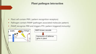Applications of Proteomics in plant biotic stress | PPT