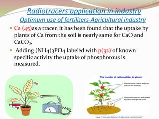 Radioisotopes In Agriculture