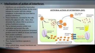 Application of rDNA technology in the production of interferons.pptx