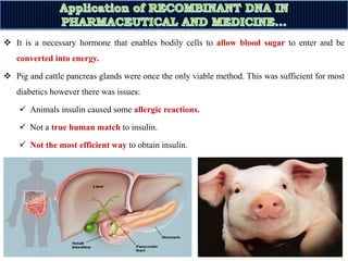 Application of recombinant dna in the pharmaceutical and medical fields ...