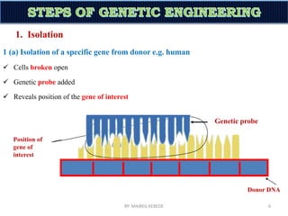 Application of recombinant dna in the pharmaceutical and medical fields ...