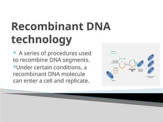 Application Of Recombinant DNA technology and it’s Mechanism.pptx