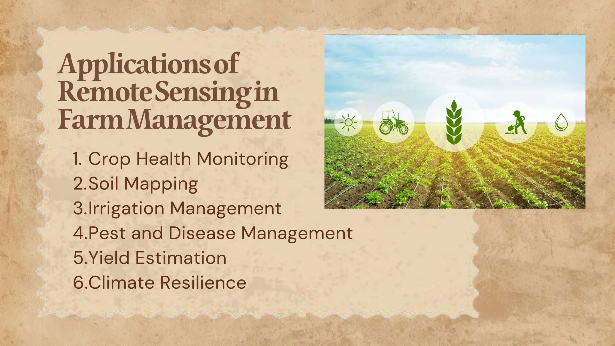 Application of Remote Sensing A Revolution in Farm Management.pptx